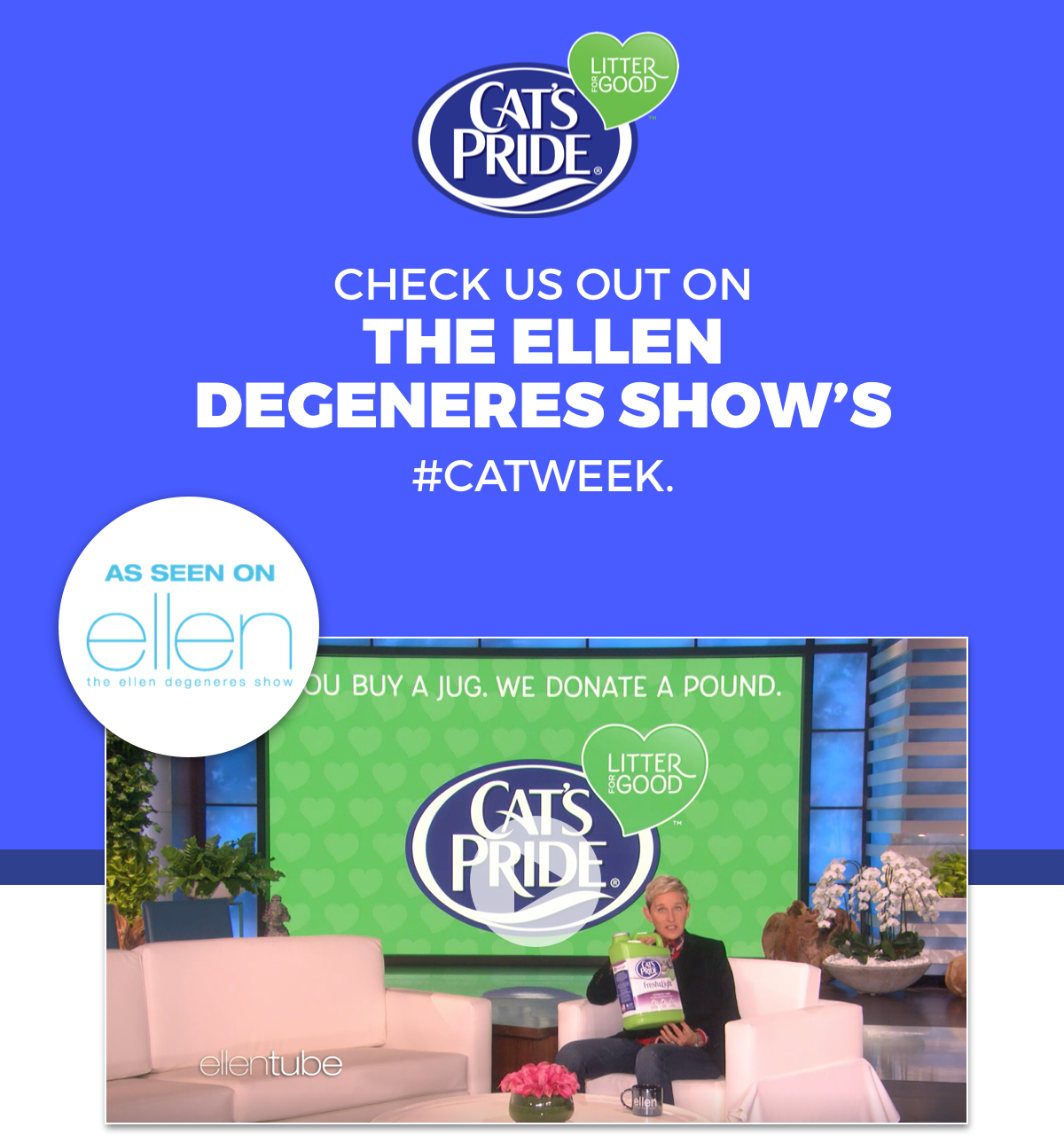 Lucky Cat Rescue » Nominate our rescue during The Ellen DeGeneres Show ...